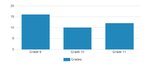 Academy High (2024-25 Profile) - Champaign, IL