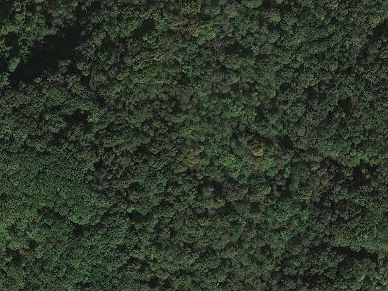 Fonde Christian Academy (2024 Profile) - Frakes, KY