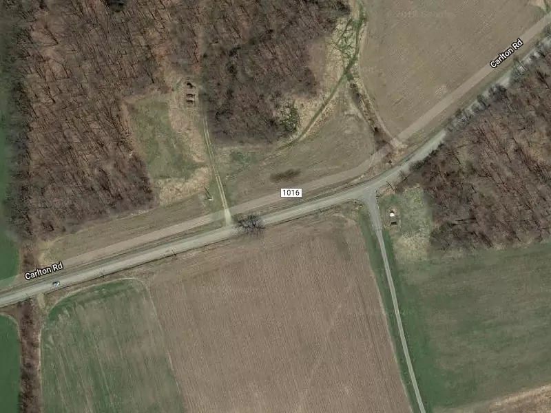 Carlton Amish School (2024 Profile) - Carlton, PA