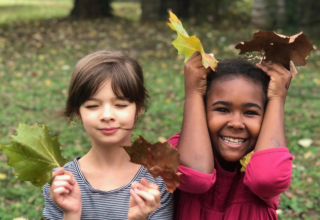 Top 20 Best Private Elementary Schools In Nashville TN 2024 