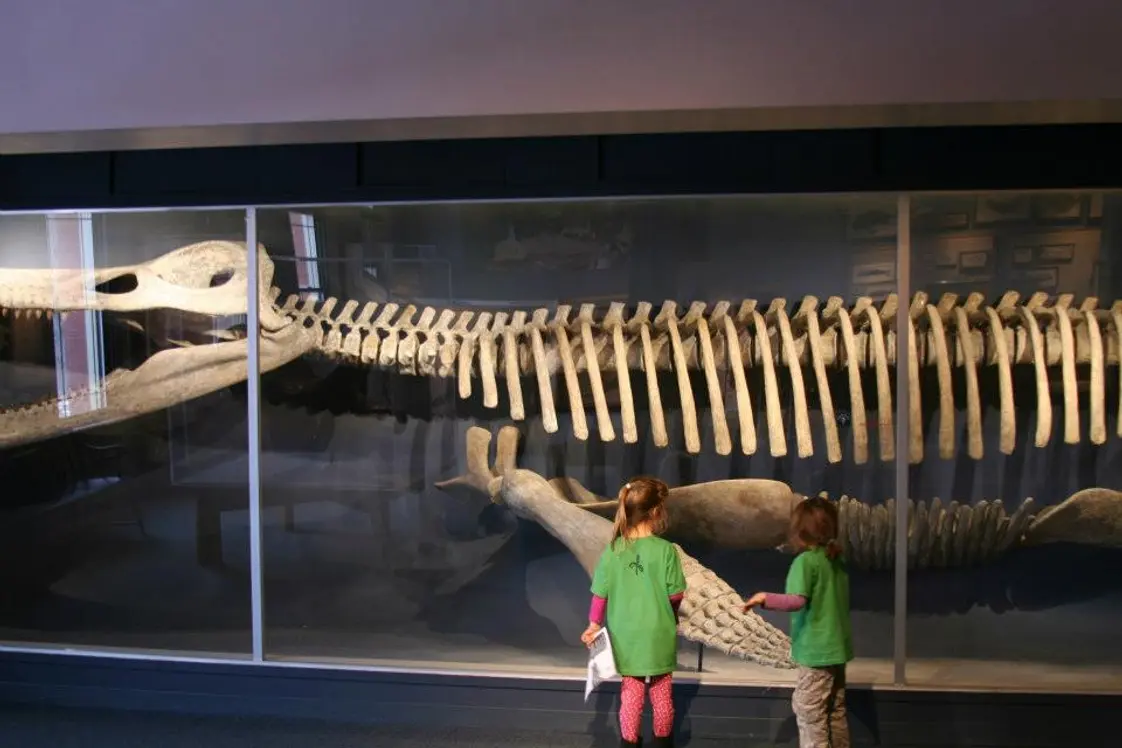 Boxberry School (2024 Profile) - Harrison, ME